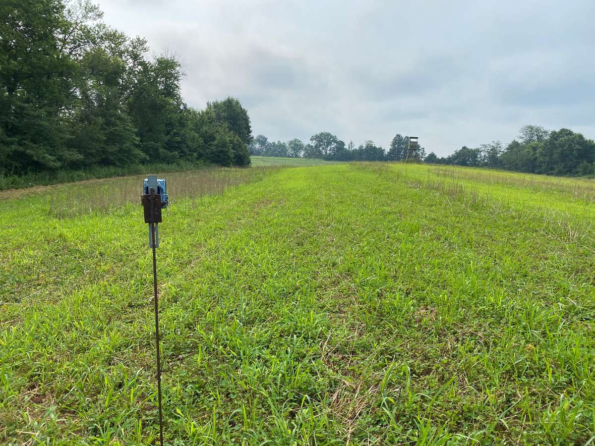 Missouri Land Management | Hunting Land Management in Northern Missouri