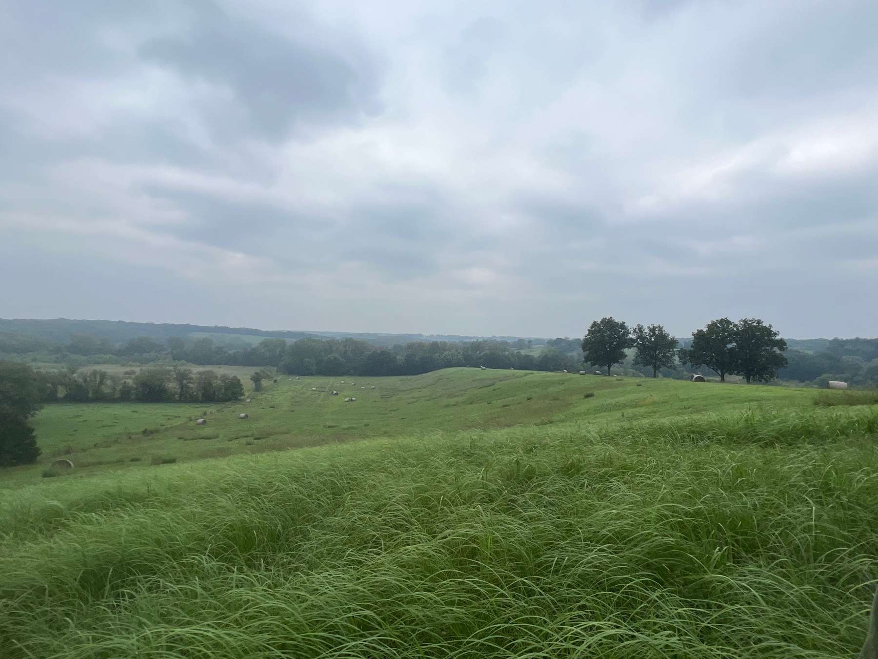 40 Acres in New Boston, MO