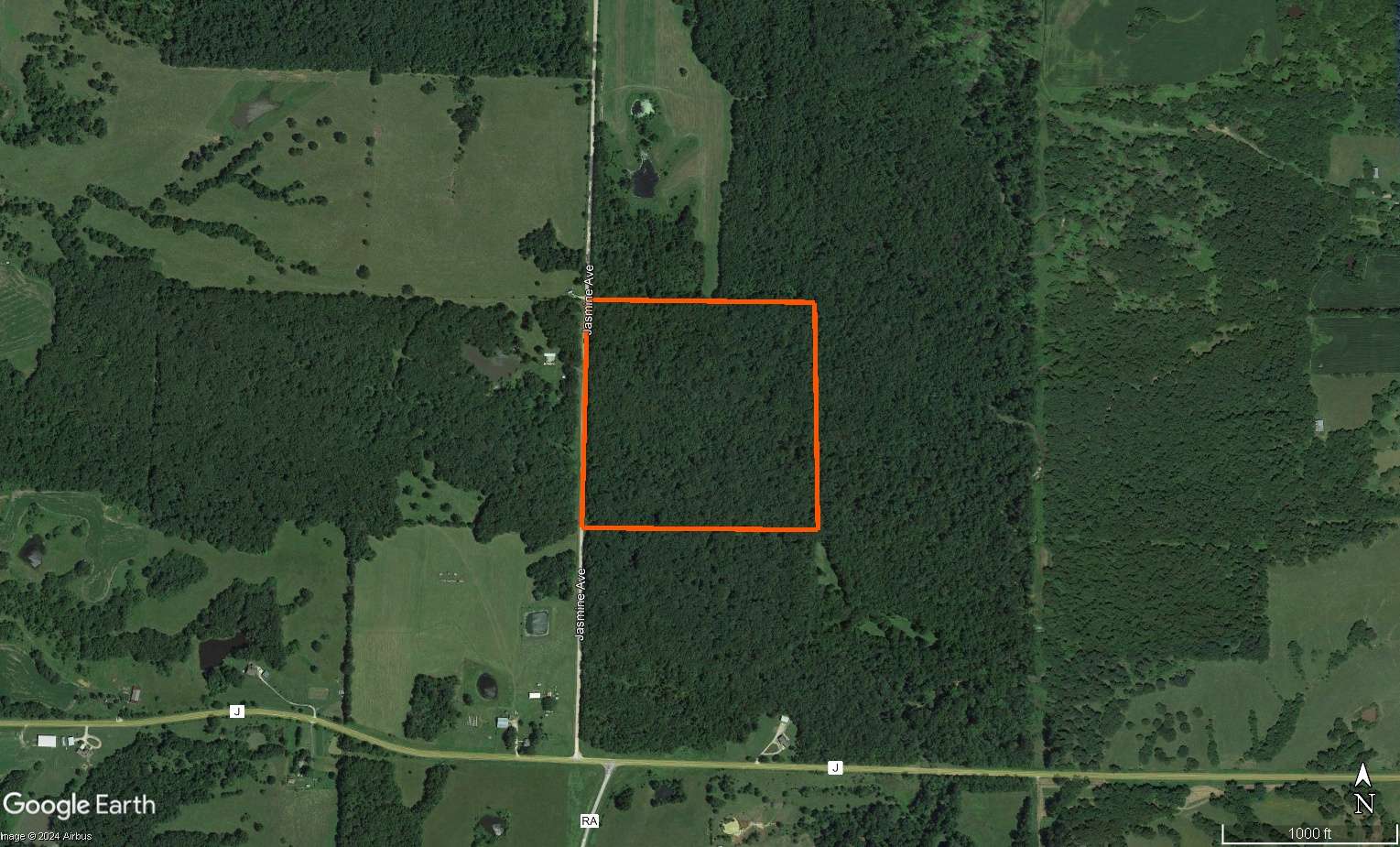 40 Acres of Hardwood Timber in Macon County