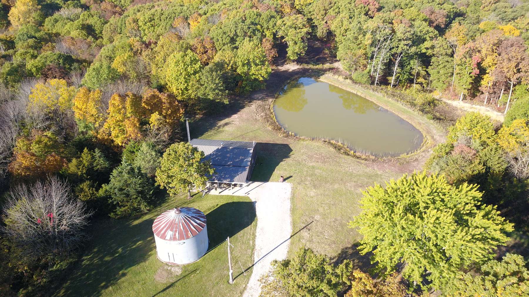 Cabin and 48 Acres
