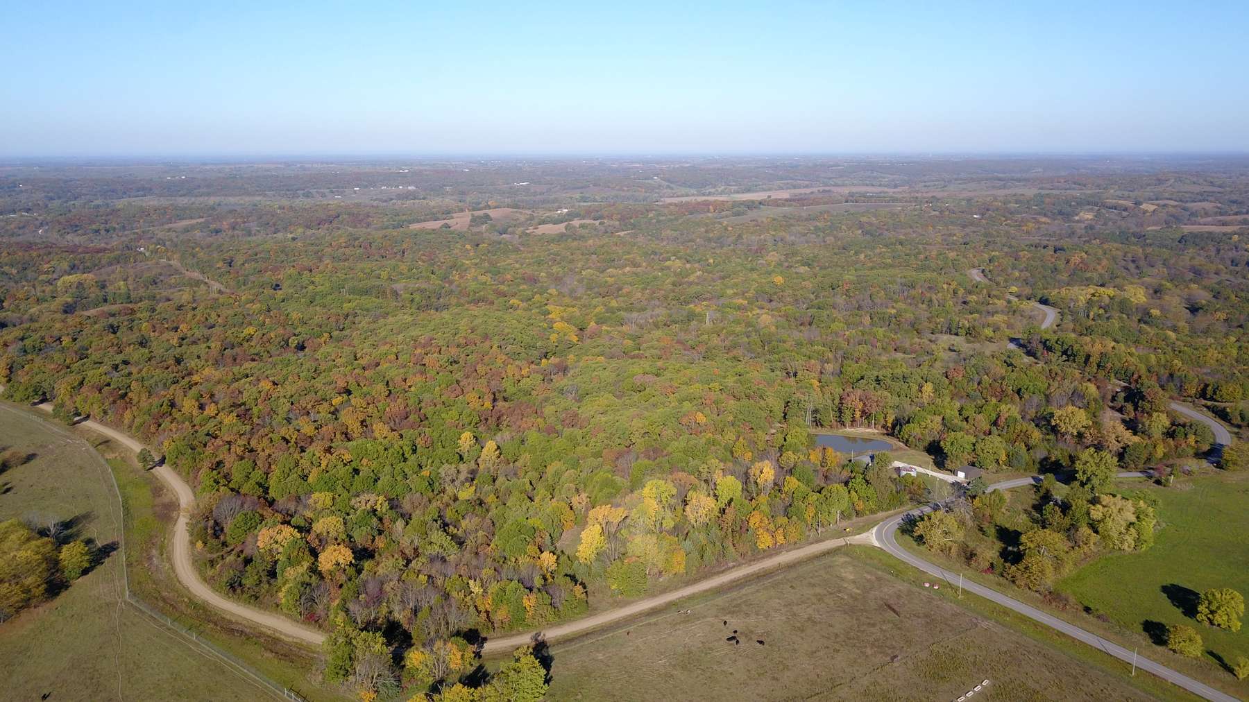 Cabin and 48 Acres