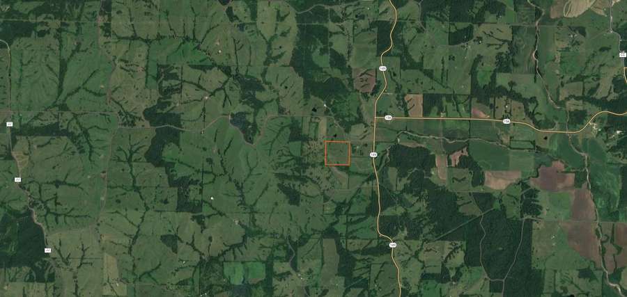 40 Acres in New Boston, MO