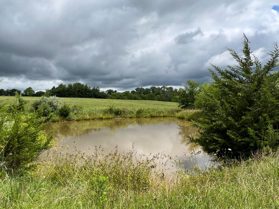 63 Acres - Frontier Lane
