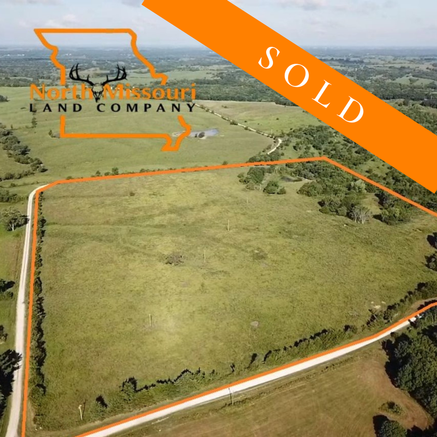 Hunting Land and other properties for sale.