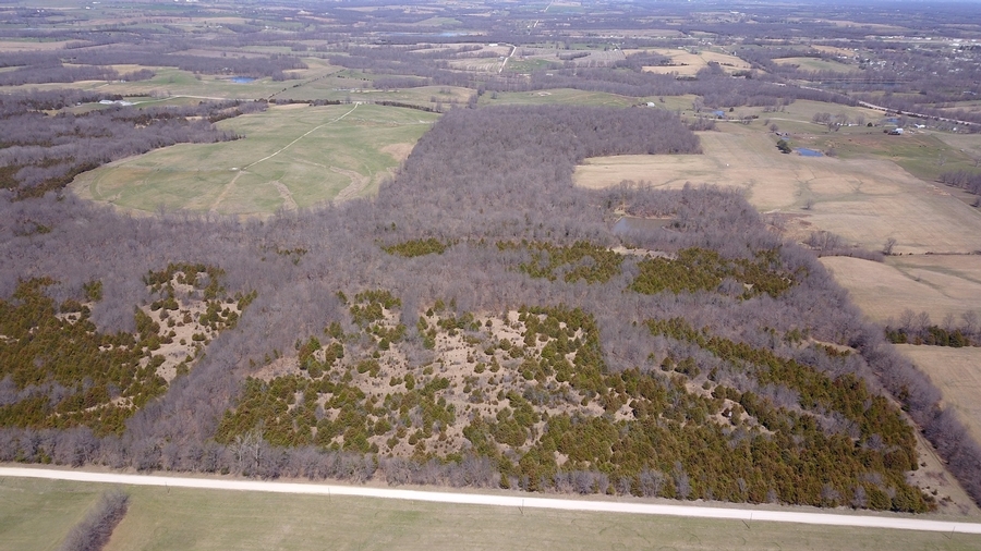 60 Acres in Macon County